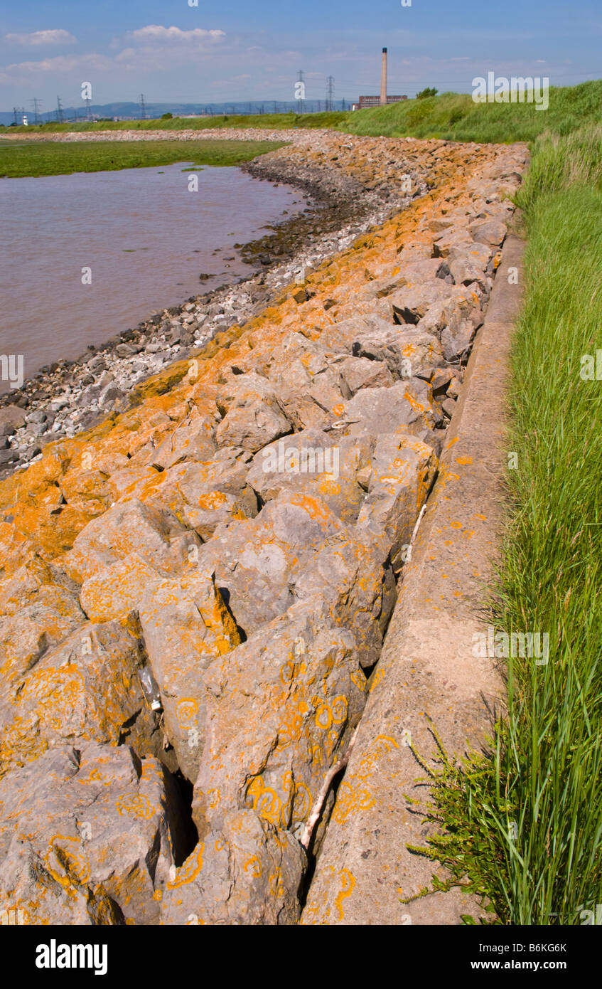 Foreshore and seawall protecting Newport Wetlands National Nature ...