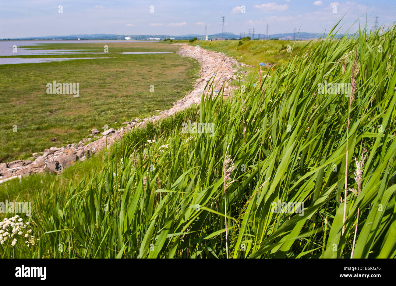 Foreshore and seawall protecting Newport Wetlands National Nature ...