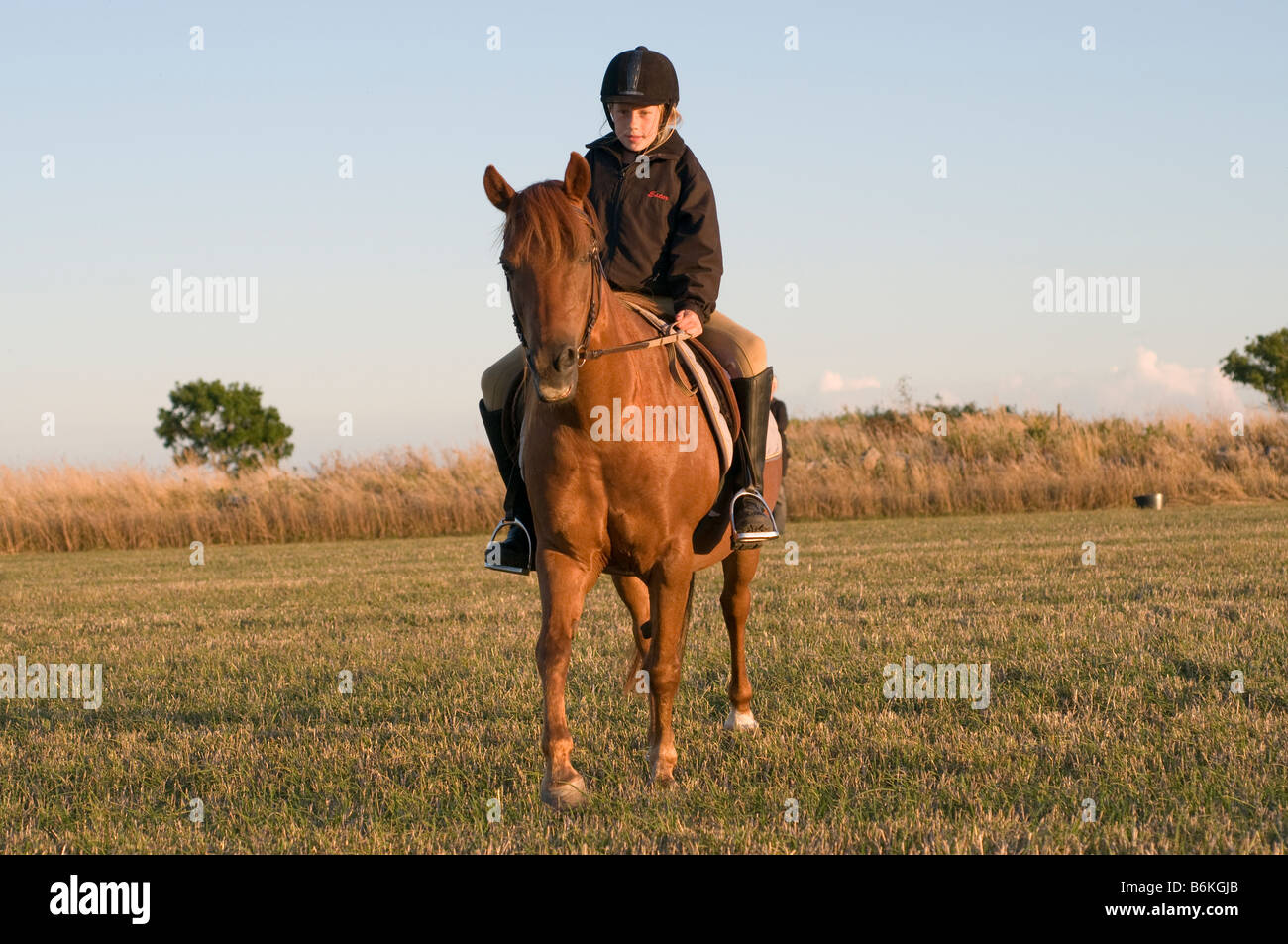 Girl riding a pony Stock Photo - Alamy