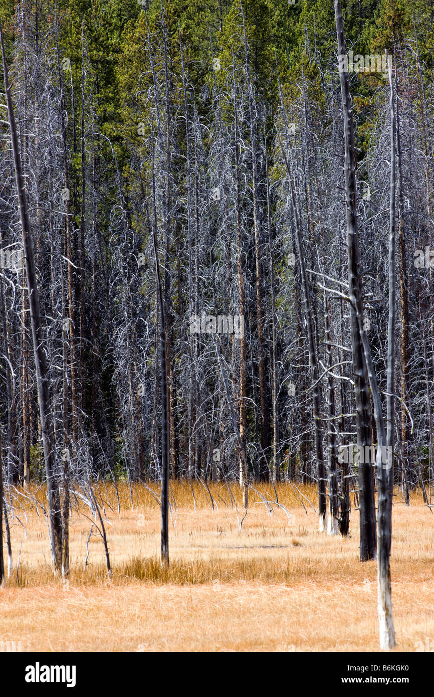 Thermal spring features hi-res stock photography and images - Alamy