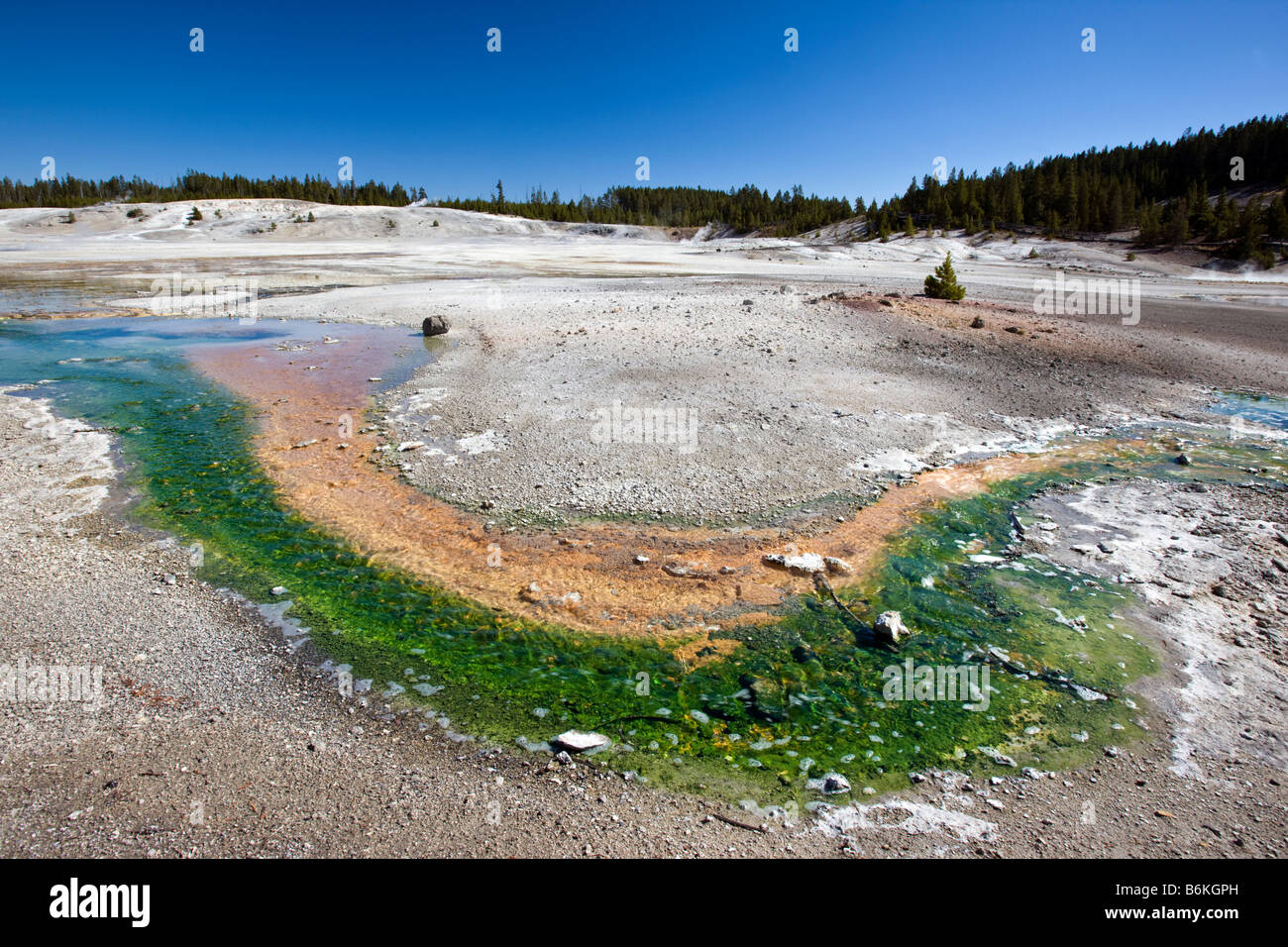 Yellowstone national park wyoming norris hi-res stock photography and ...