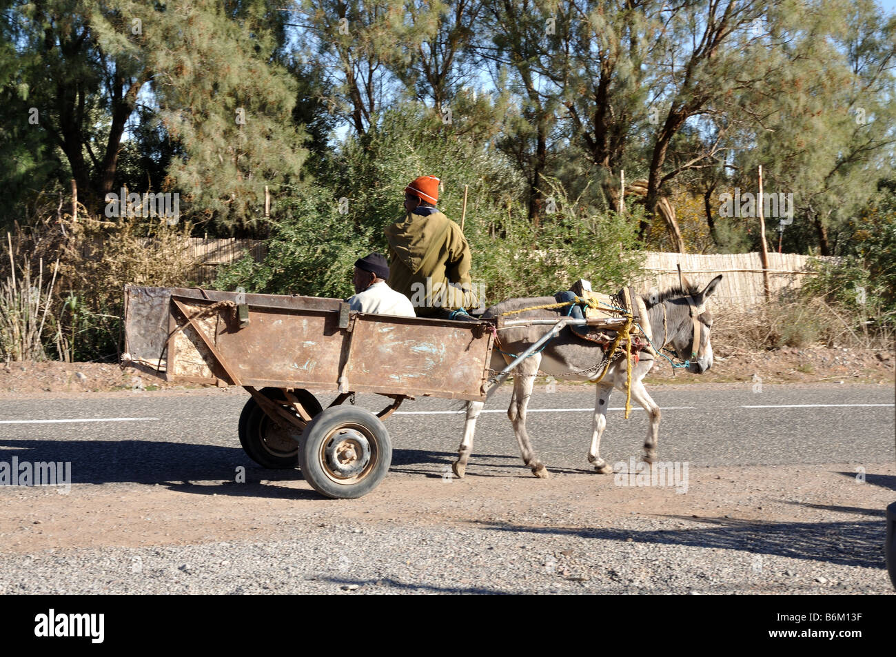 Mule and cart hi-res stock photography and images - Alamy