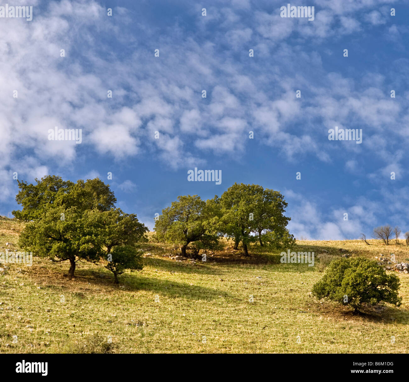 Nahal amud hi-res stock photography and images - Alamy