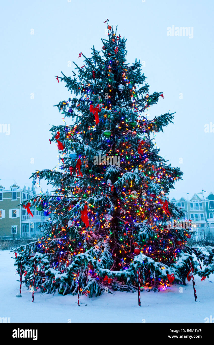 Municipal christmas tree hi-res stock photography and images - Alamy
