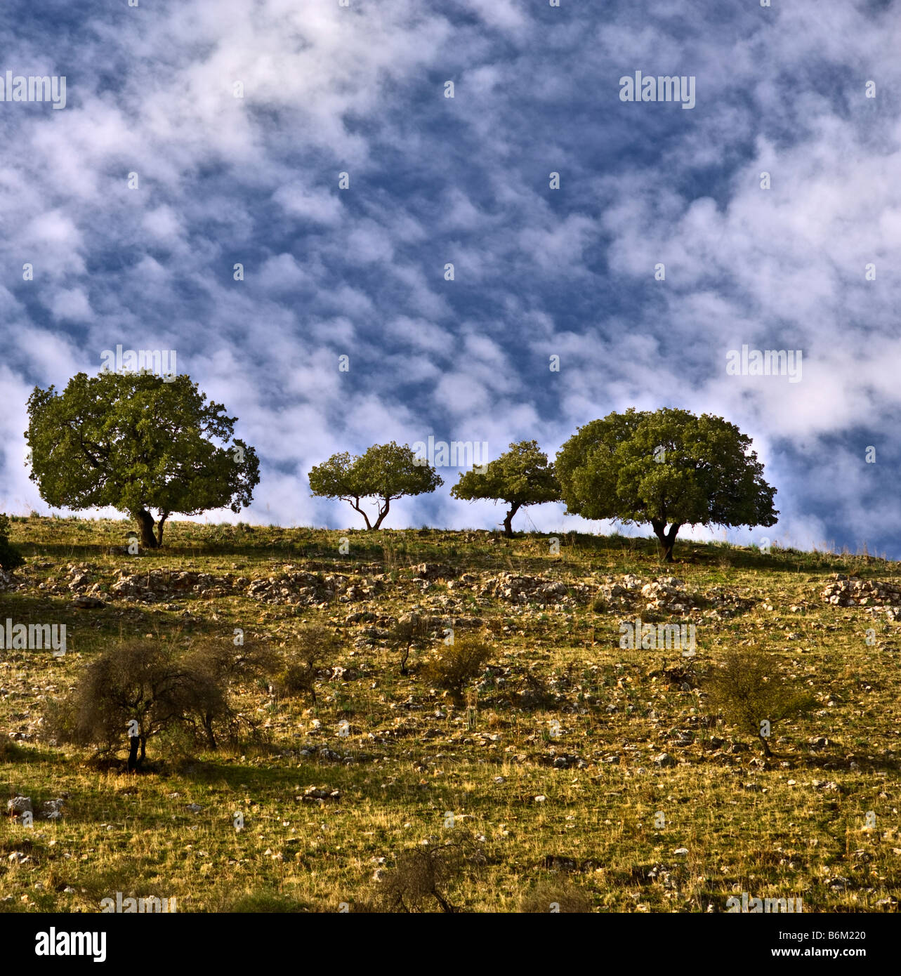 Nahal amud hi-res stock photography and images - Alamy