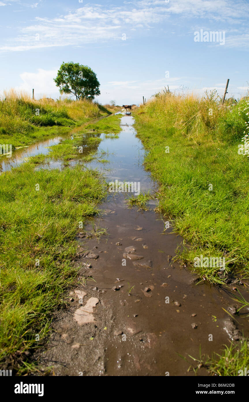 Country road under water Stock Photo - Alamy