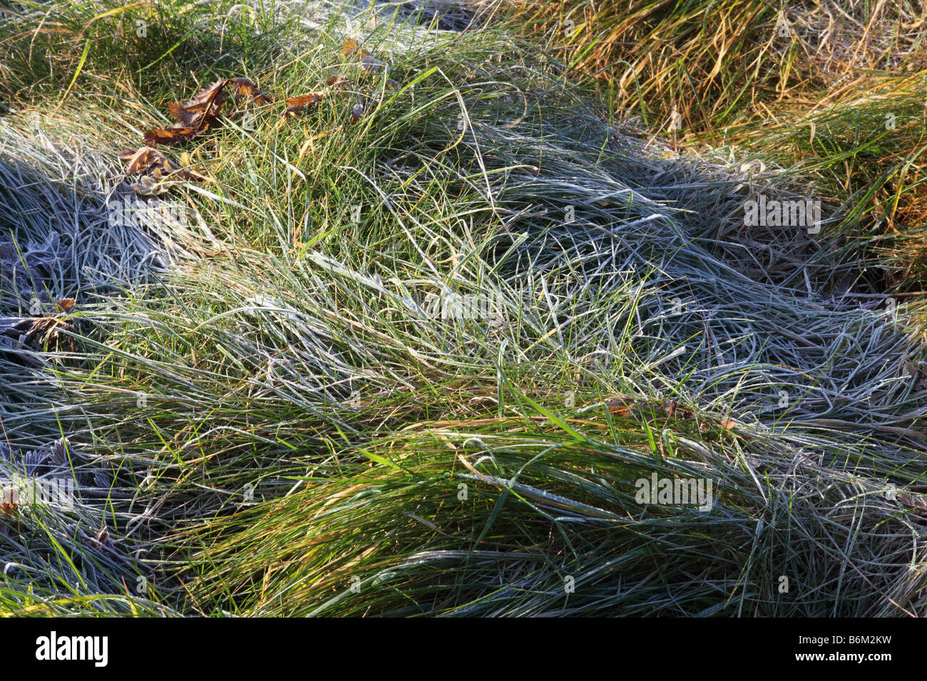 Frosty Temperature High Resolution Stock Photography and Images - Alamy