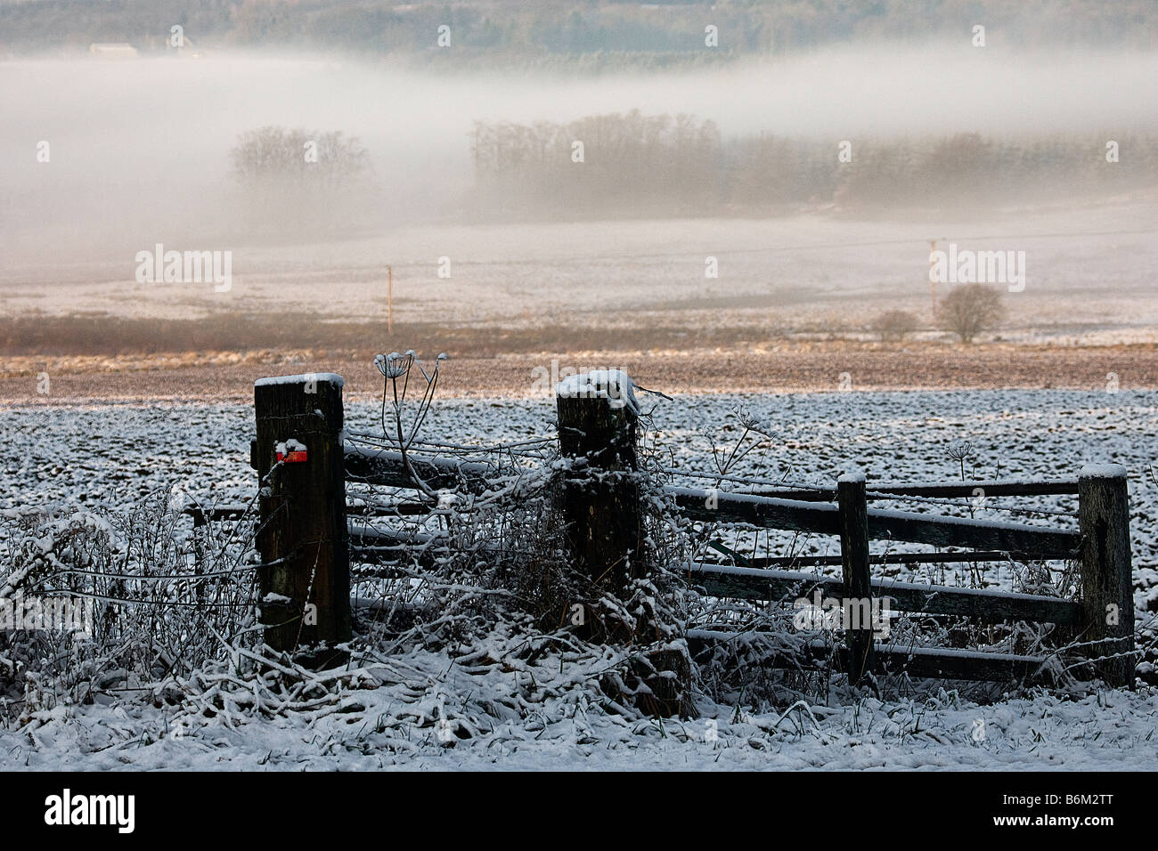 Winter morning. Scottish borders Stock Photo - Alamy