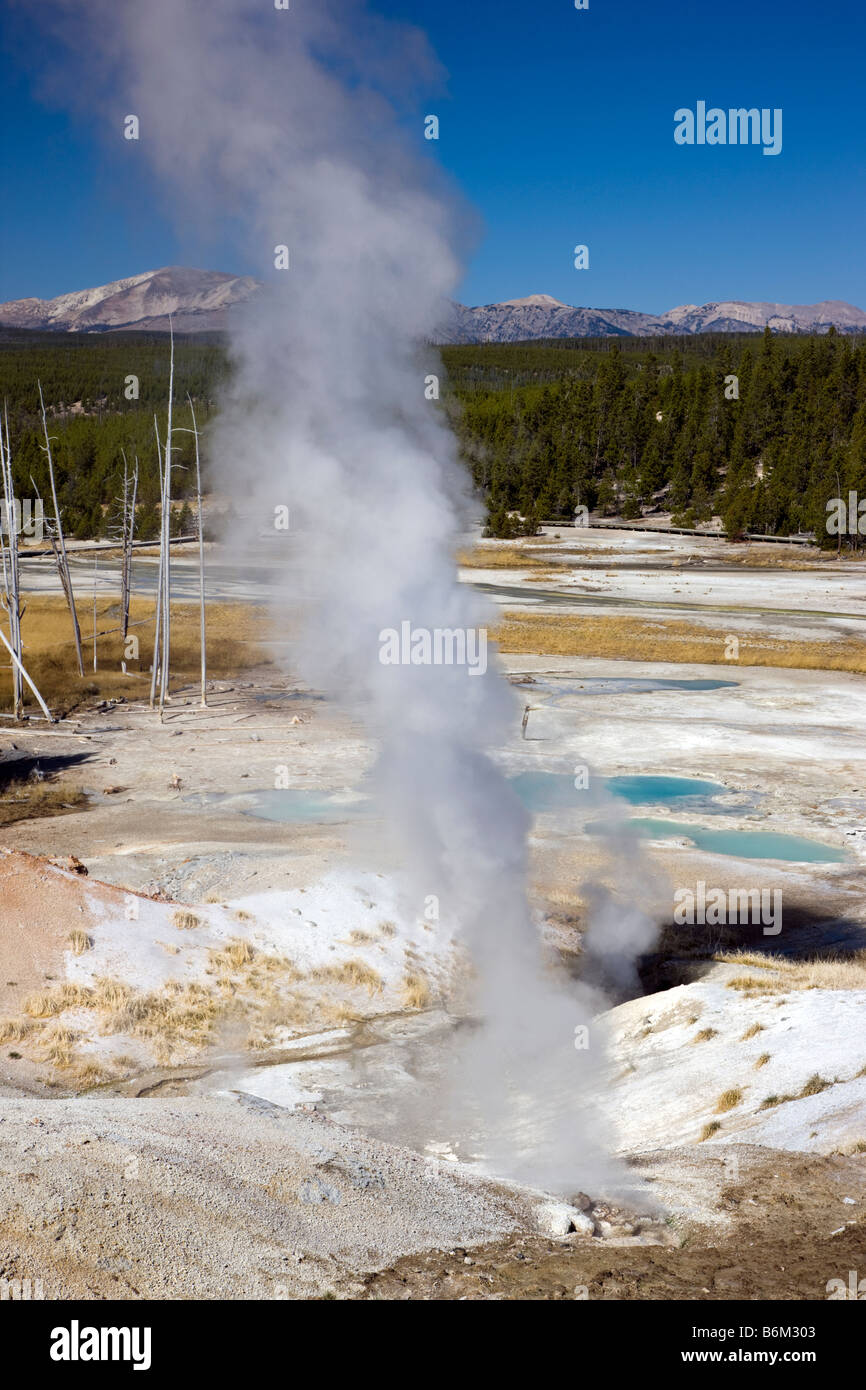 Ledge Geyser, Norris Geyser Basin, Yellowstone National Park; Wyoming ...