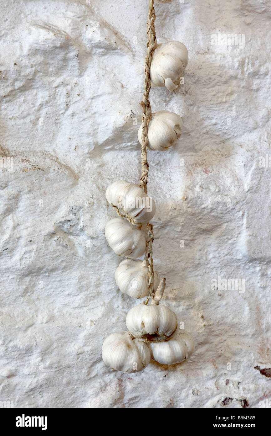Hanging garlic cloves hi-res stock photography and images - Alamy