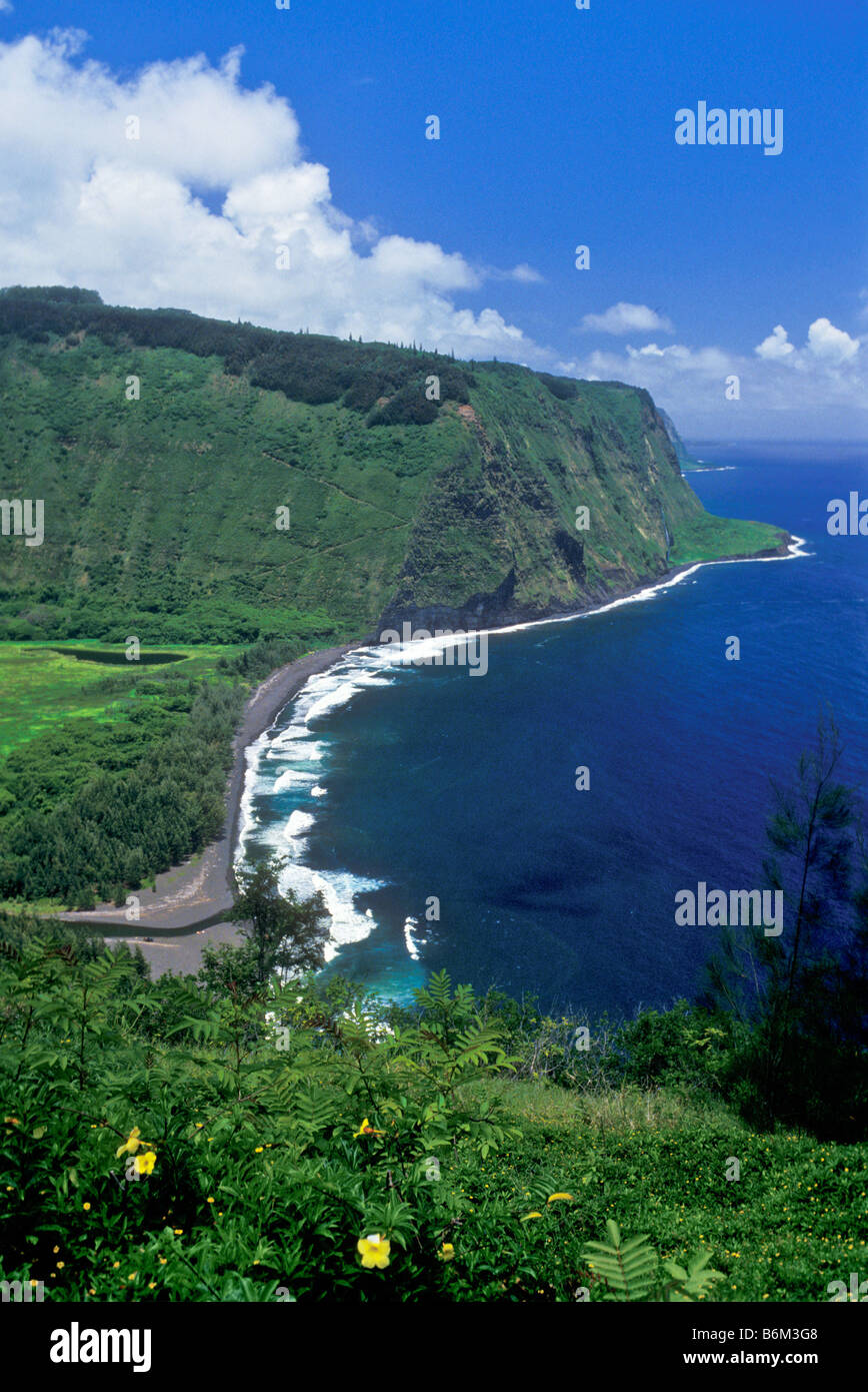 View from Waipio Valley Lookout Waipio Bay Hamakua North Kohala coast ...