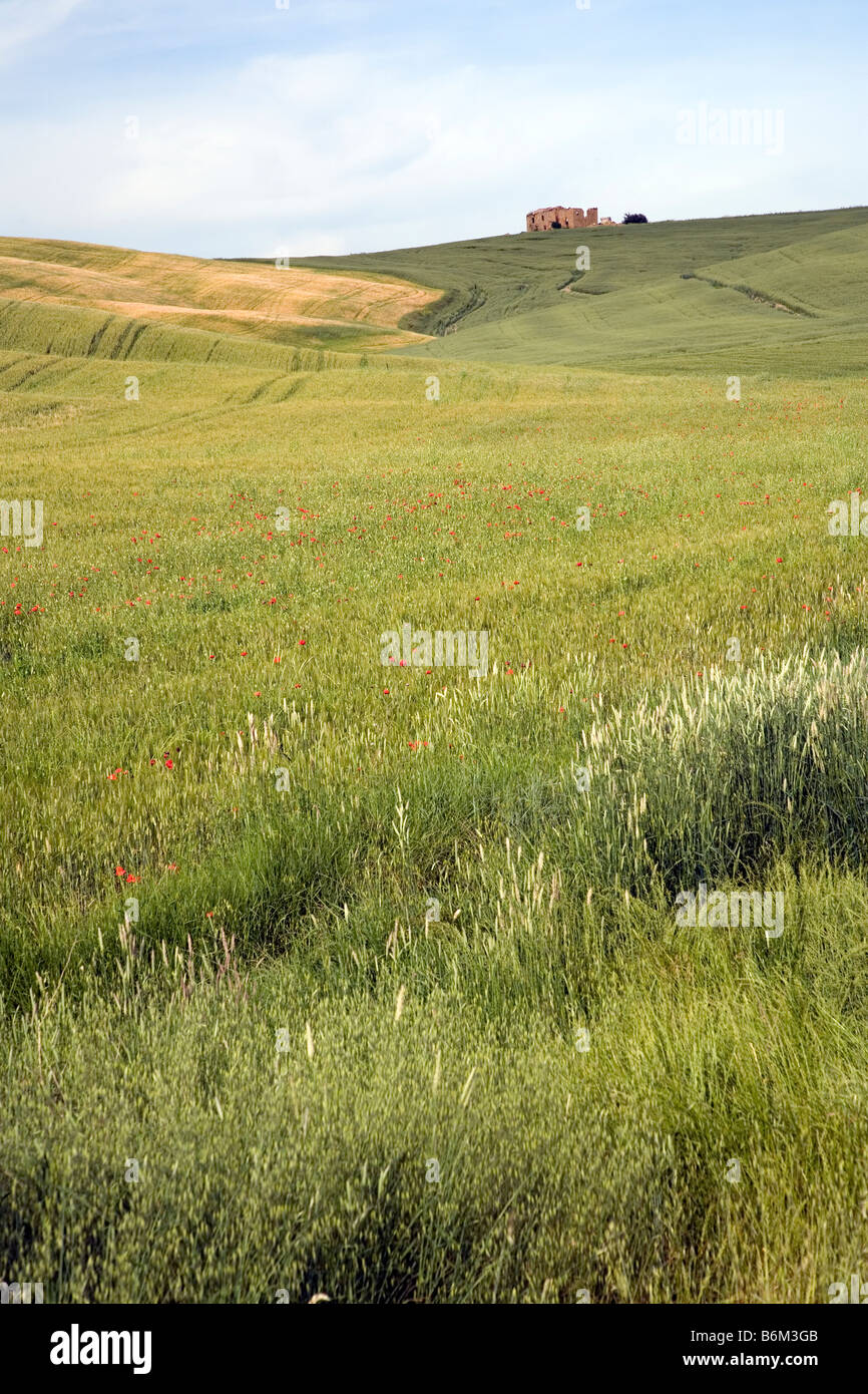 Ruined farmland hi-res stock photography and images - Alamy
