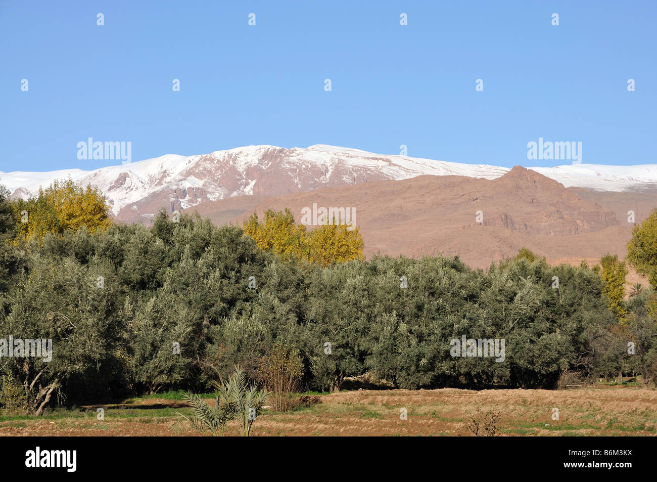 Geological atlas hi-res stock photography and images - Alamy