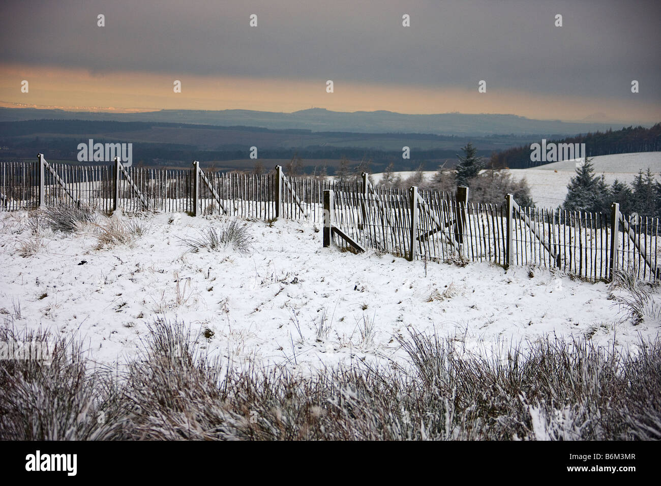 Snow barriers. Scottish Borders Stock Photo - Alamy