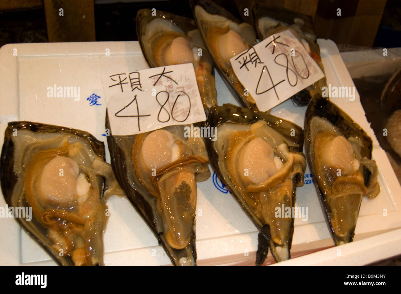 Tsukiji shijo fish market Tokyo Japan seafood Stock Photo - Alamy
