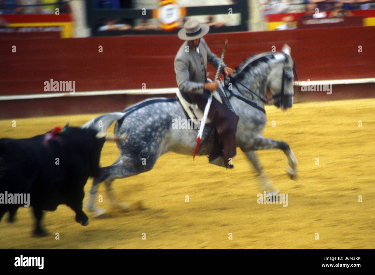 Bull chasing man hi-res stock photography and images - Alamy