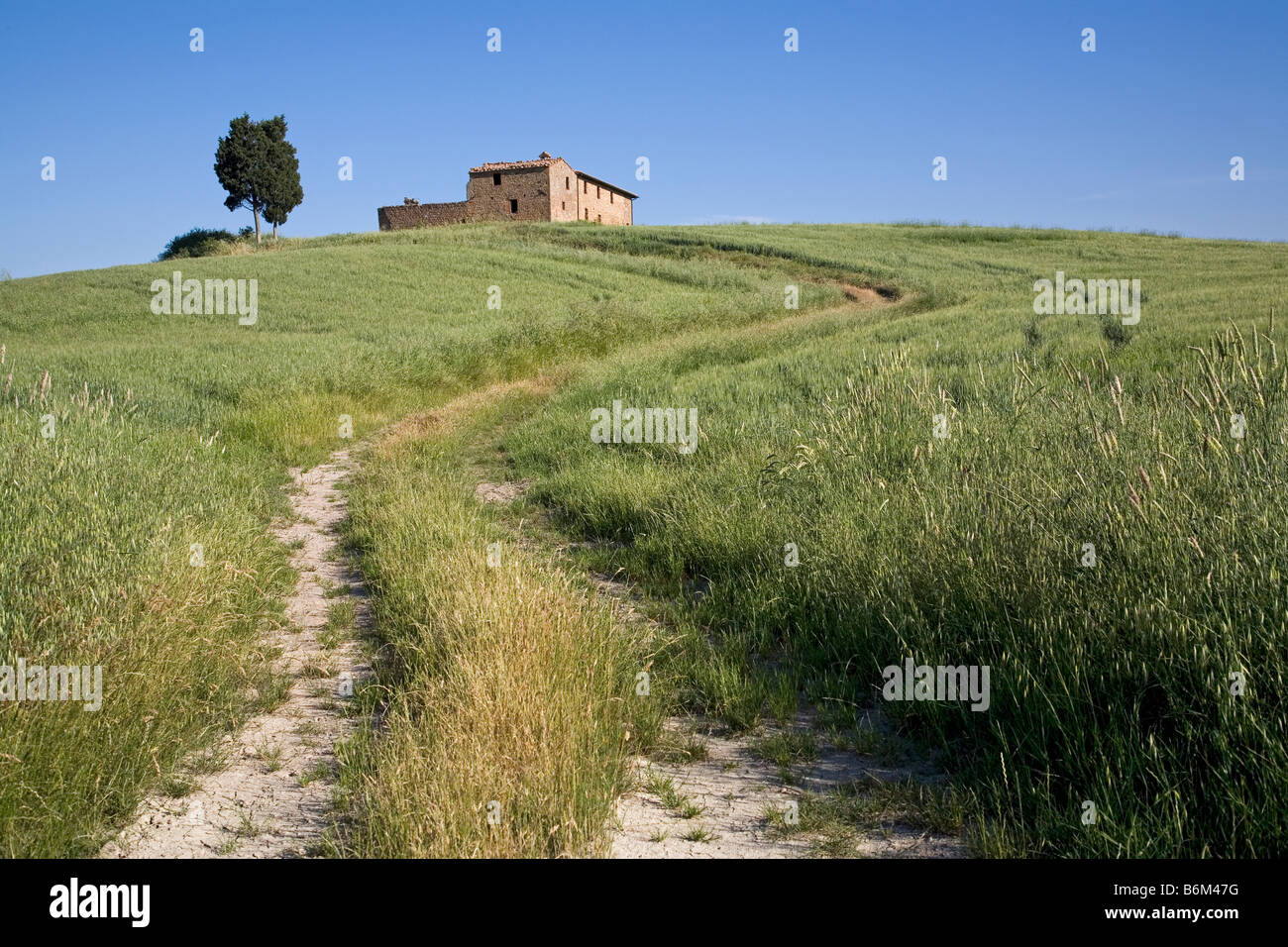 Winding track to a ruined hilltop farmhouse Tuscany Stock Photo - Alamy