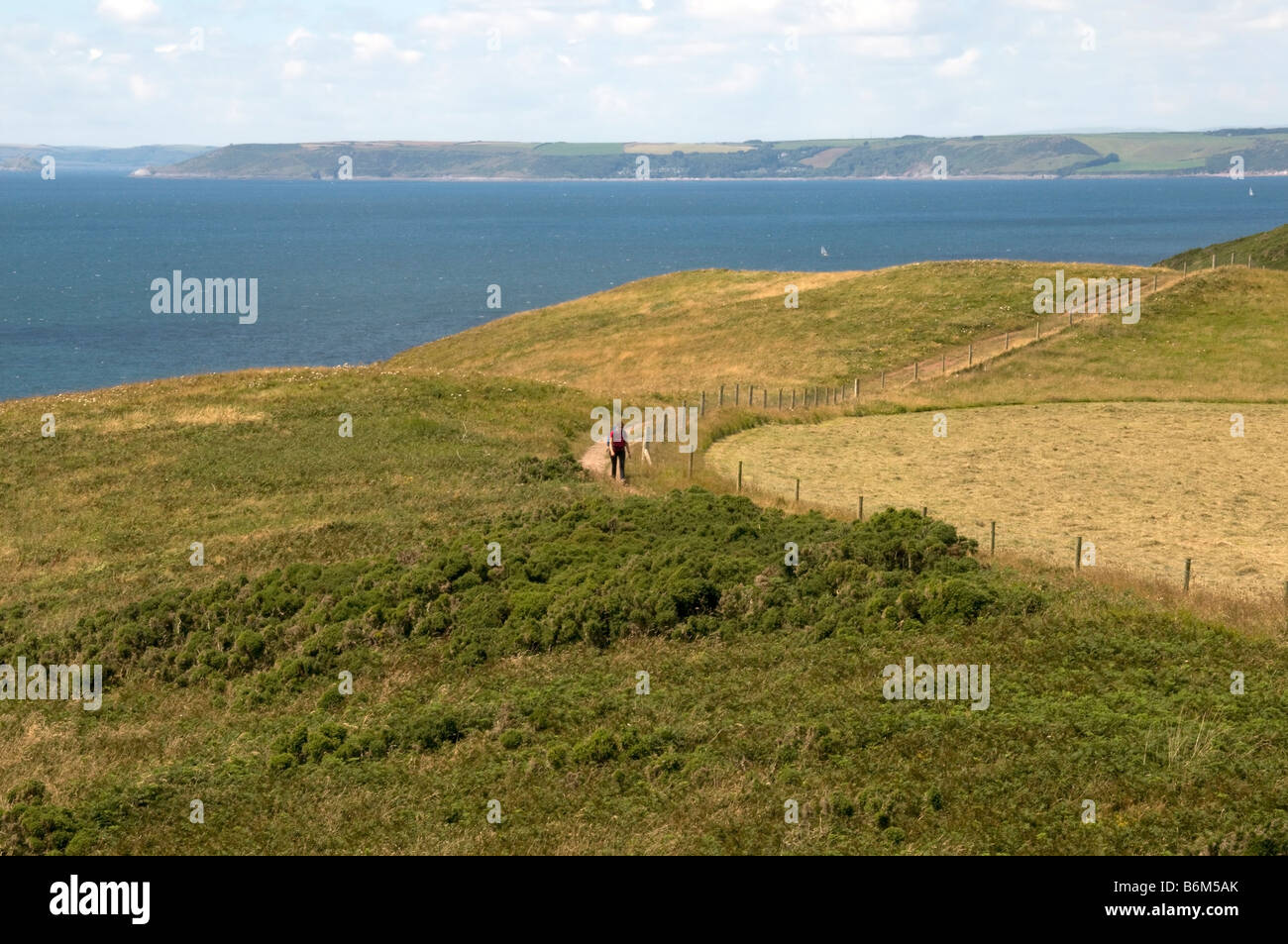 walker devon coast path Stock Photo - Alamy