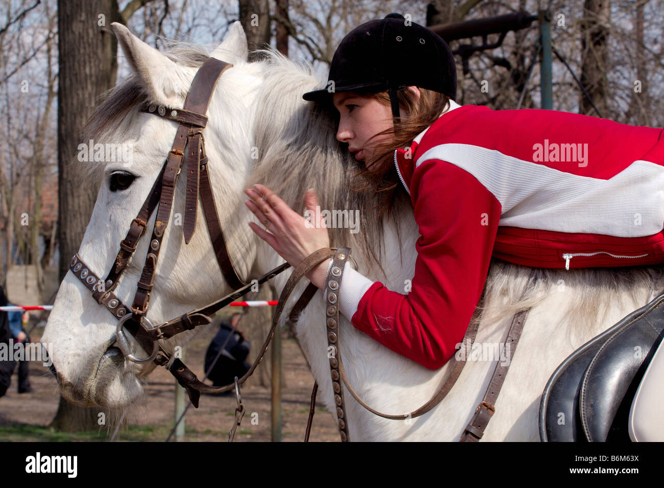 Competitions on equestrian sport interesting event for participants and ...