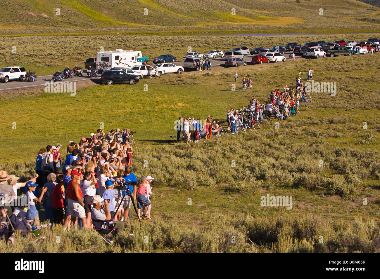 YELLOWSTONE NATIONAL PARK WYOMING USA Crowd of tourists line up to view ...
