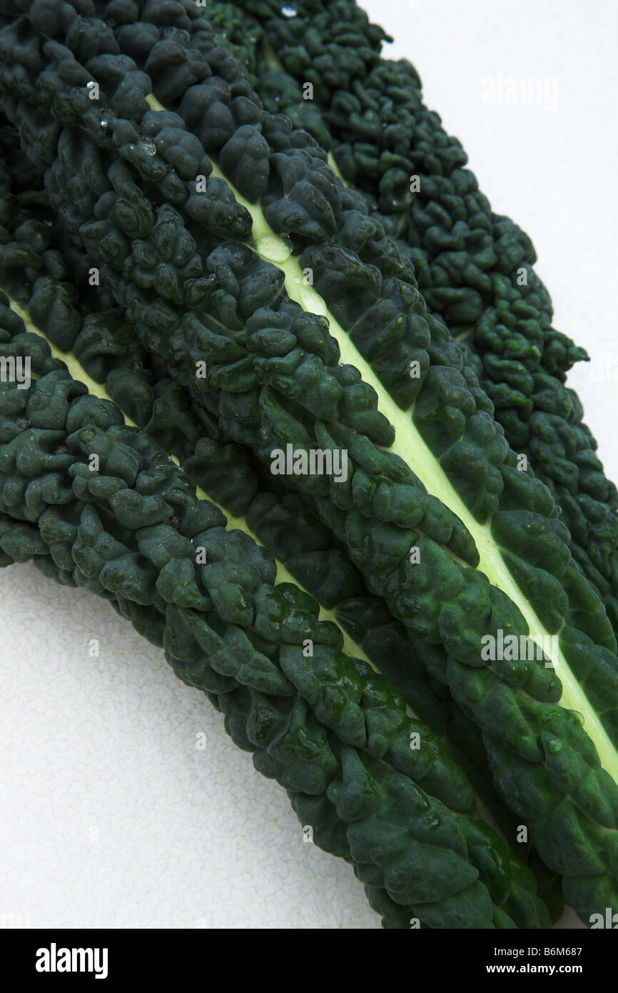 Cavolo hi-res stock photography and images - Alamy