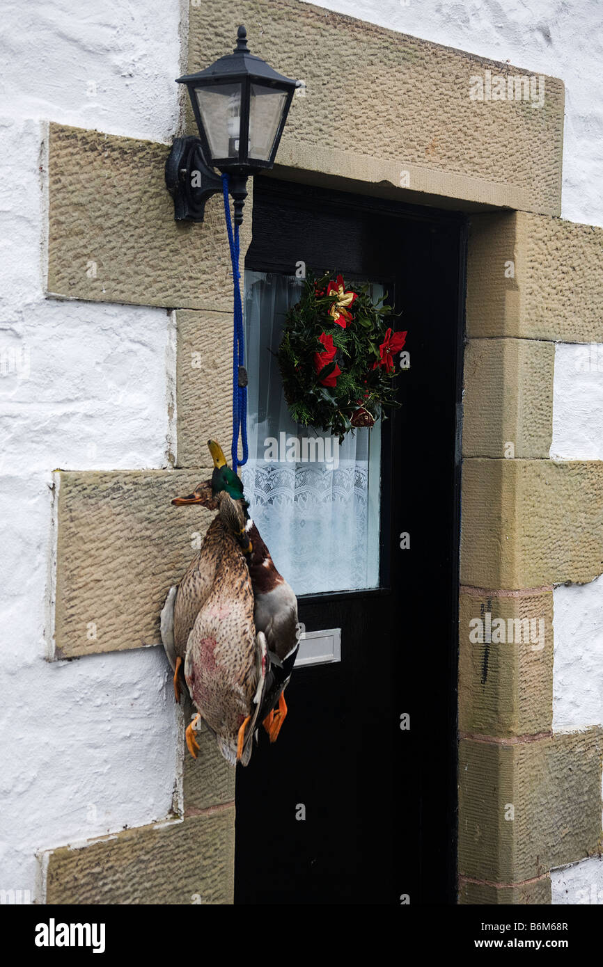 Ducks hanging up for Christmas Stock Photo - Alamy