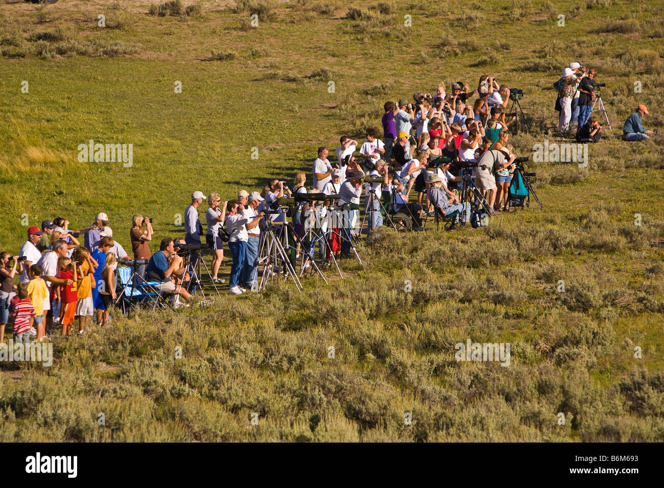 YELLOWSTONE NATIONAL PARK WYOMING USA Crowd of tourists line up to view ...
