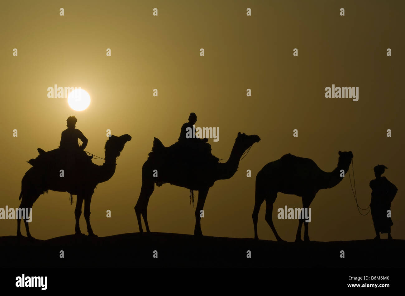 Camels desert sunset hi-res stock photography and images - Alamy