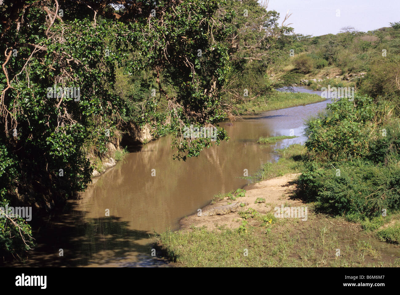 Talek hi-res stock photography and images - Alamy