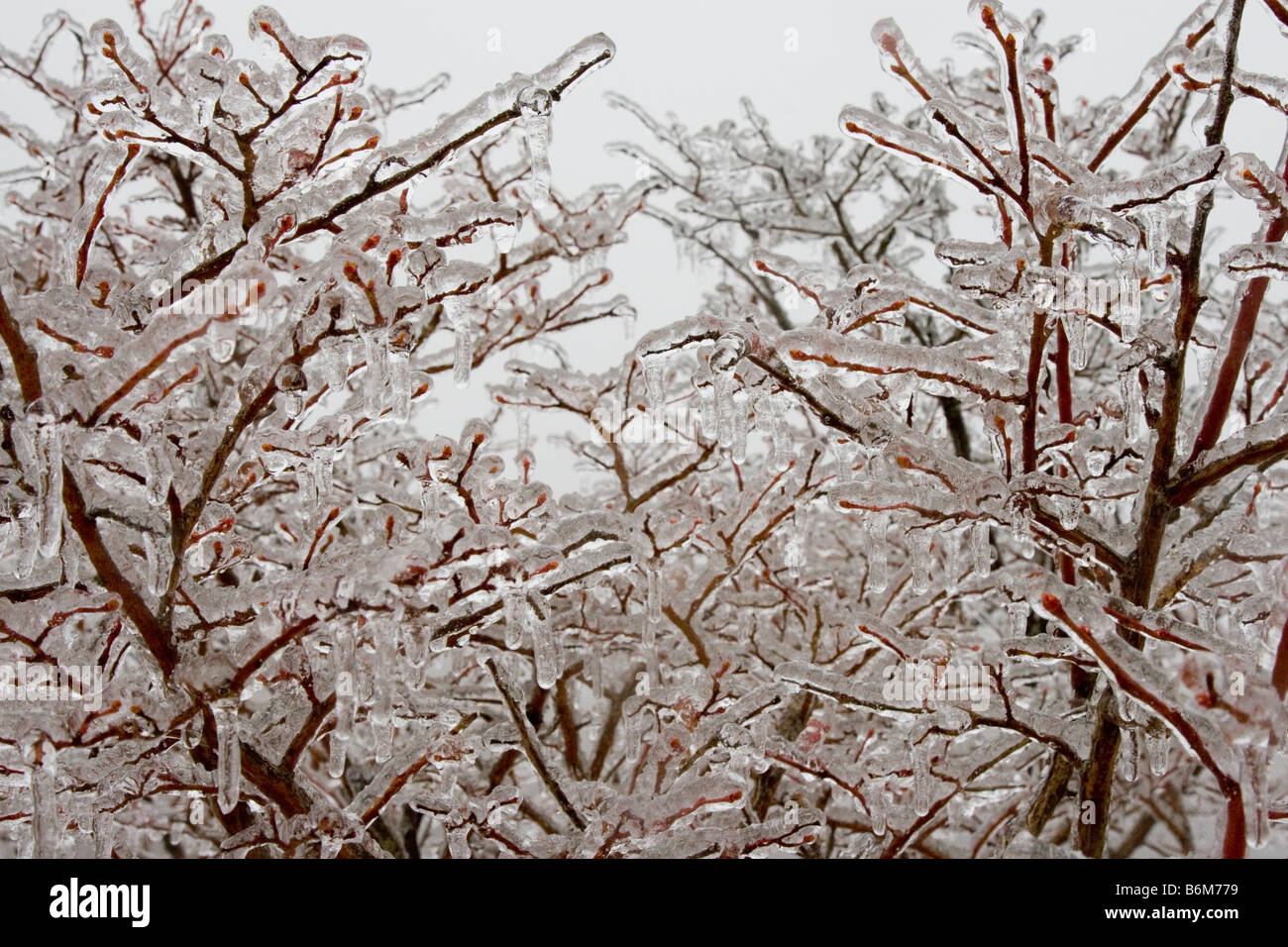Freezing rain hi-res stock photography and images - Alamy