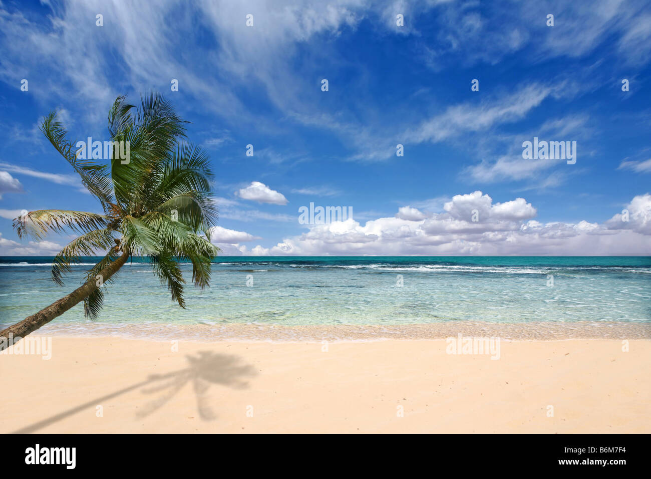 Palm Tree Over the Ocean Waves on a Beach in Kauai Hawaii Stock Photo ...