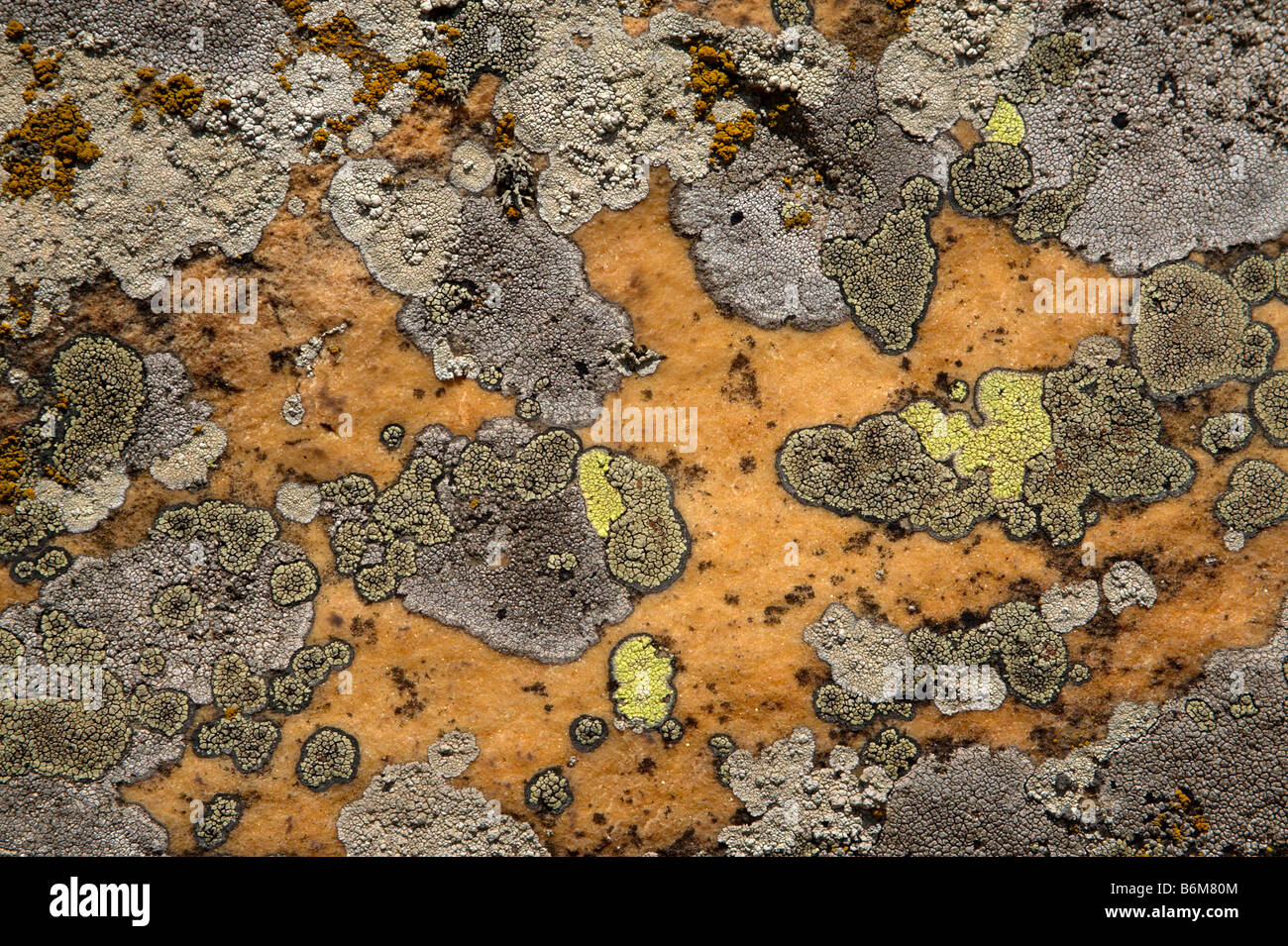 The beautiful figures made by the nature Stock Photo - Alamy