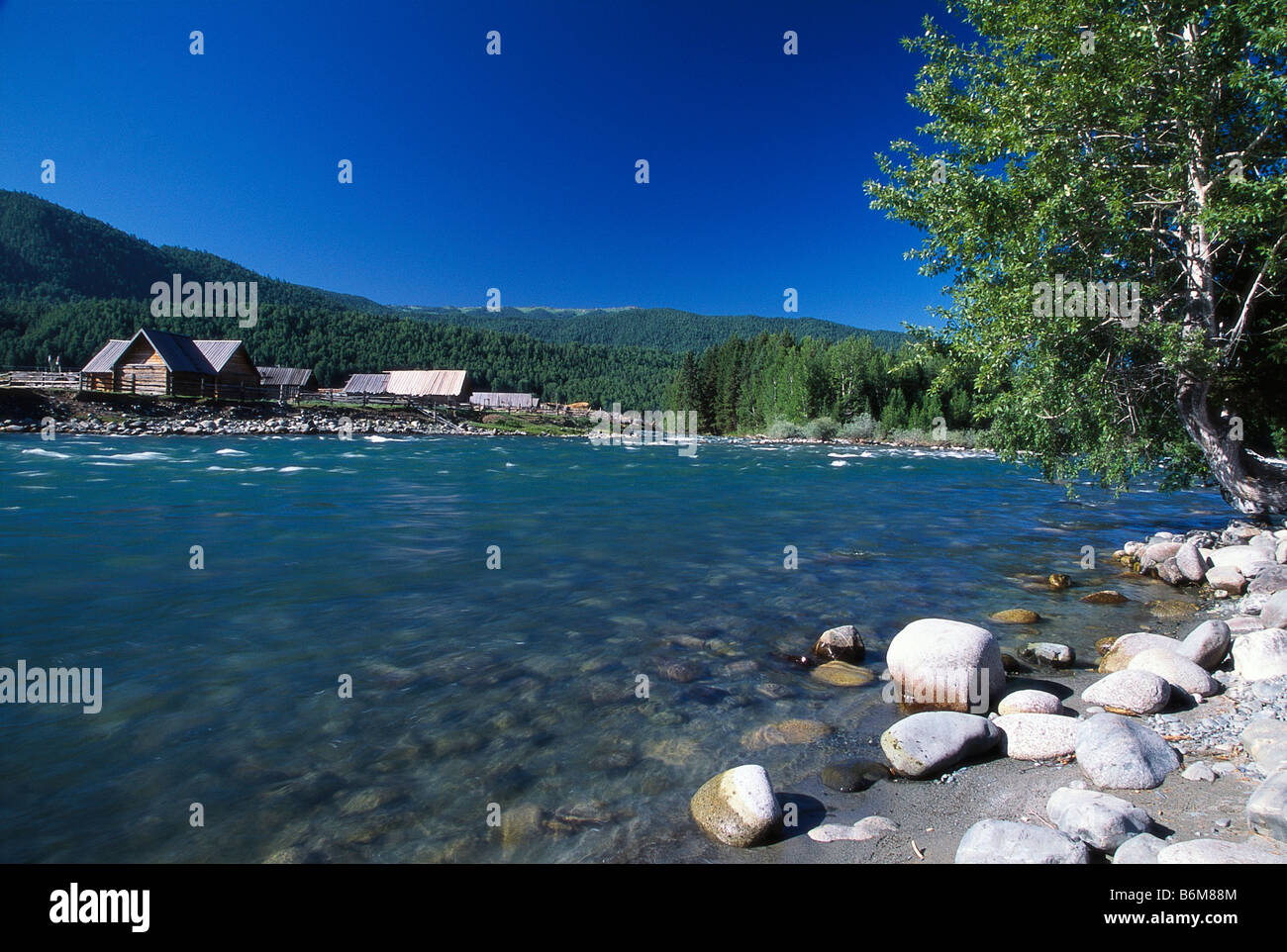 The clear water of Hemu River in Kanas National Park in Xinjiang, China ...