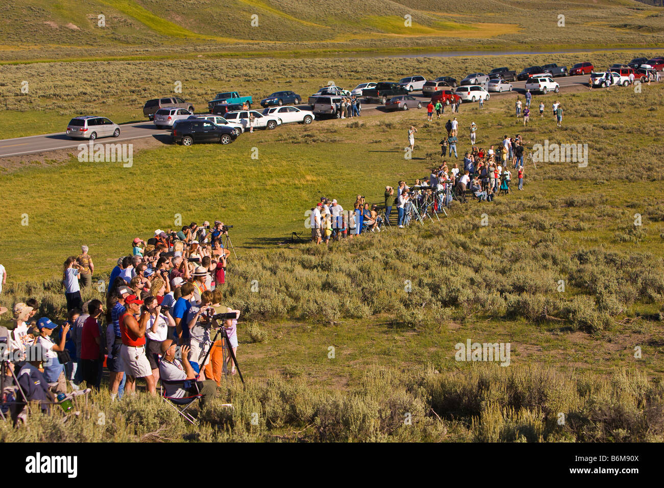 YELLOWSTONE NATIONAL PARK WYOMING USA - Crowd of tourists line up to ...