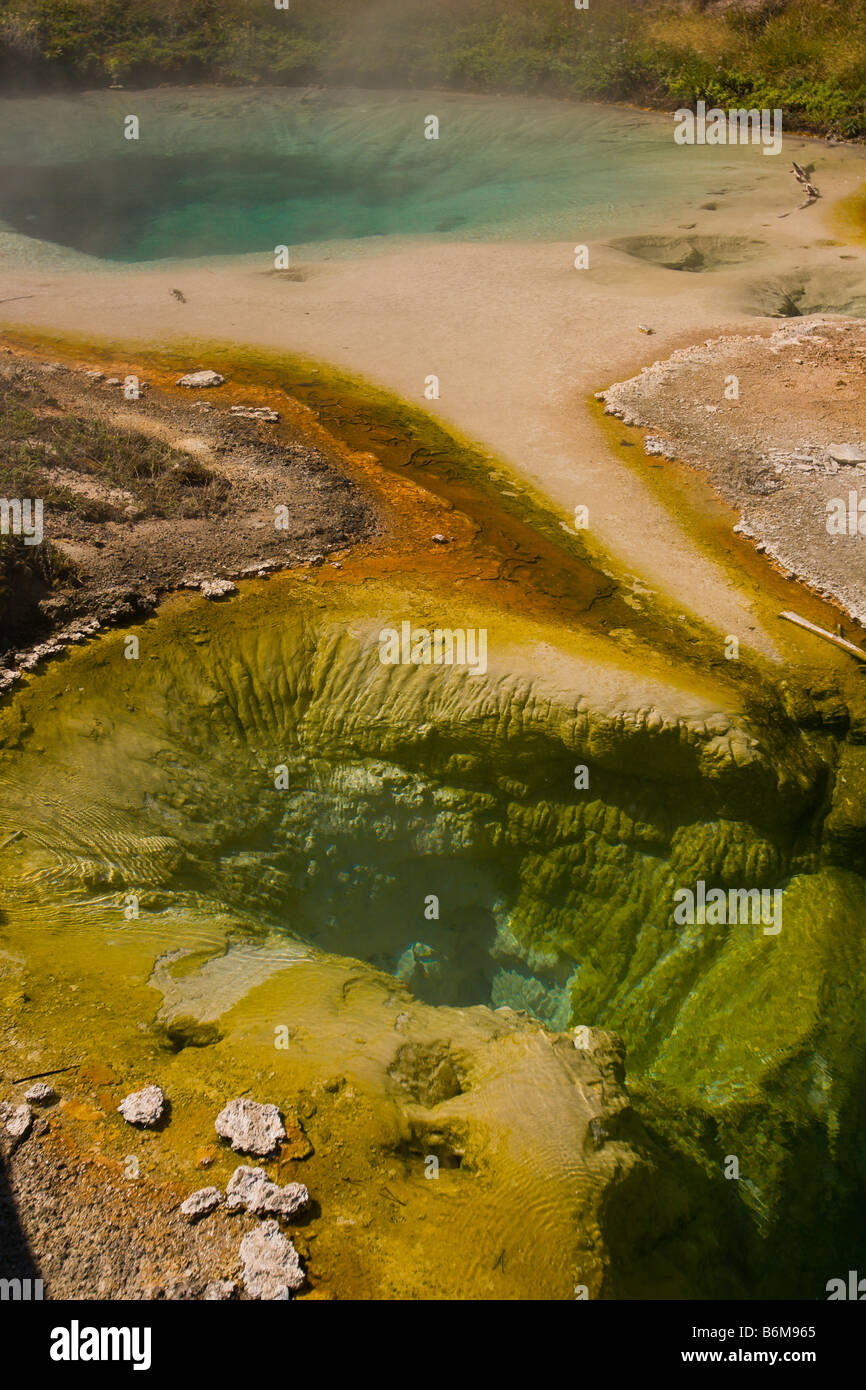 YELLOWSTONE NATIONAL PARK WYOMING USA Seismograph Pool at West Thumb ...