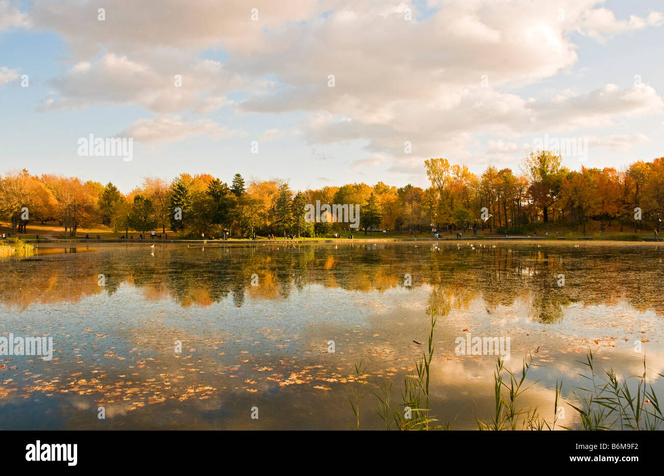 Mont royal park hi-res stock photography and images - Alamy