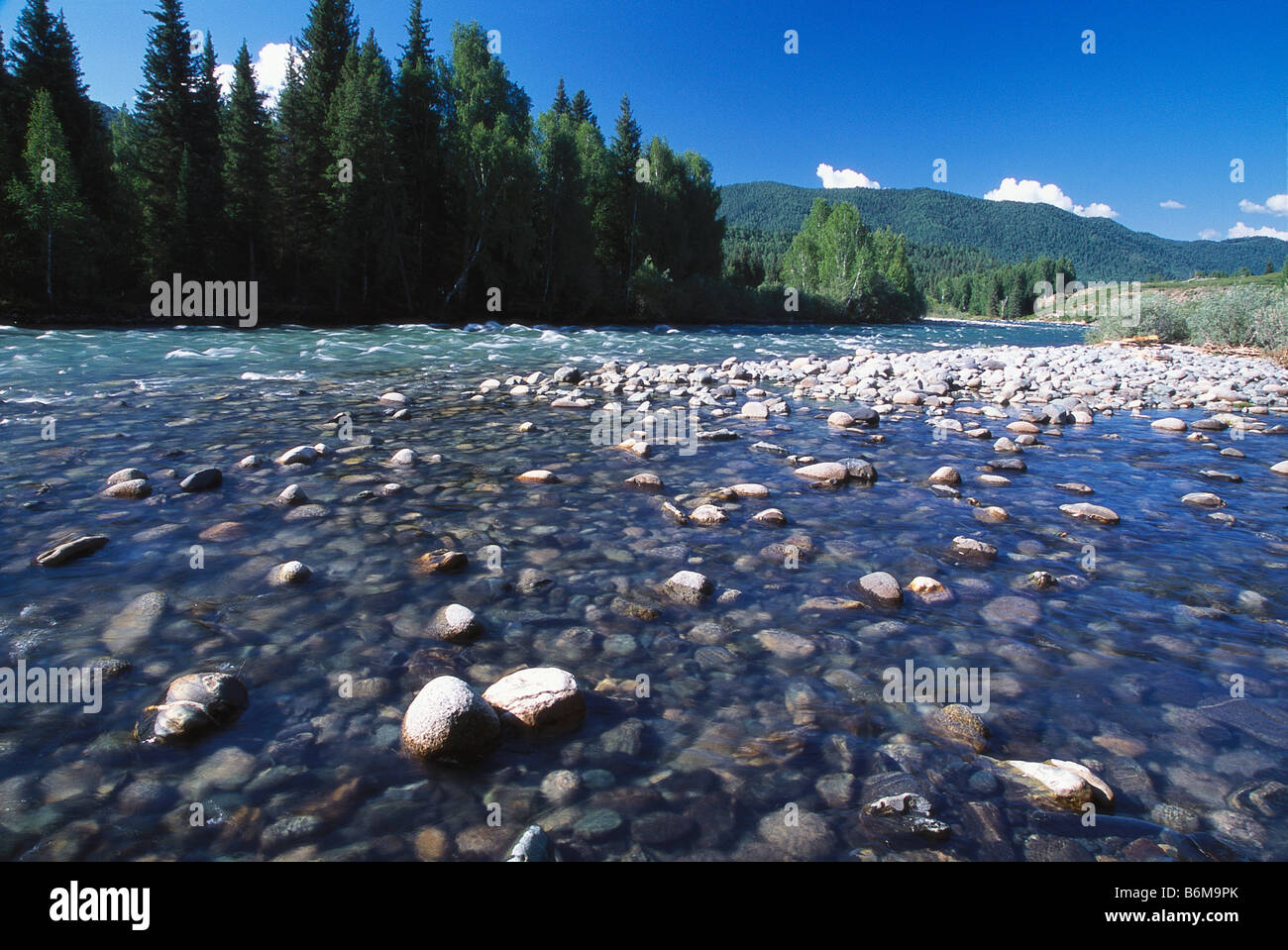 The clear water of Hemu River in Kanas National Park in Xinjiang, China ...