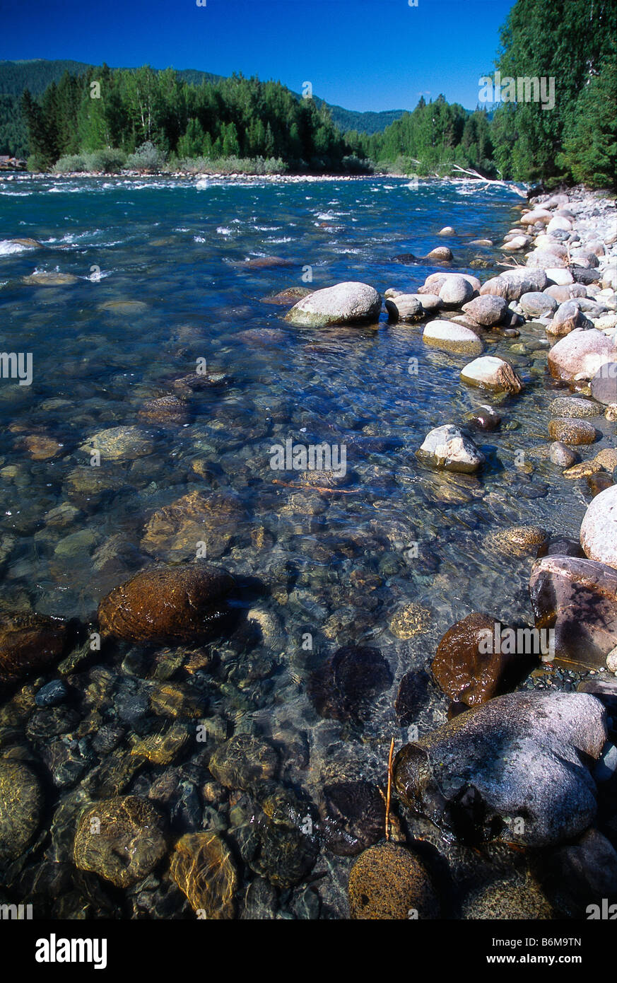 The clear water of Hemu River in Kanas National Park in Xinjiang, China ...