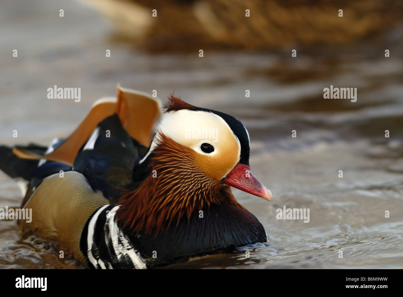 Peterhead scotland hi-res stock photography and images - Alamy