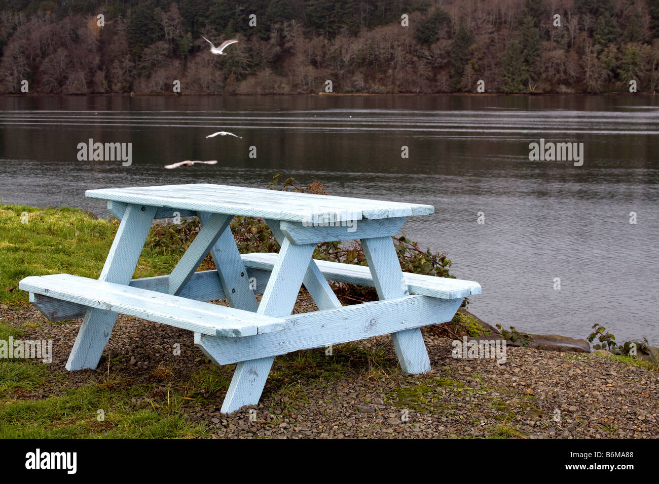 Blue picnic table next to river Stock Photo - Alamy
