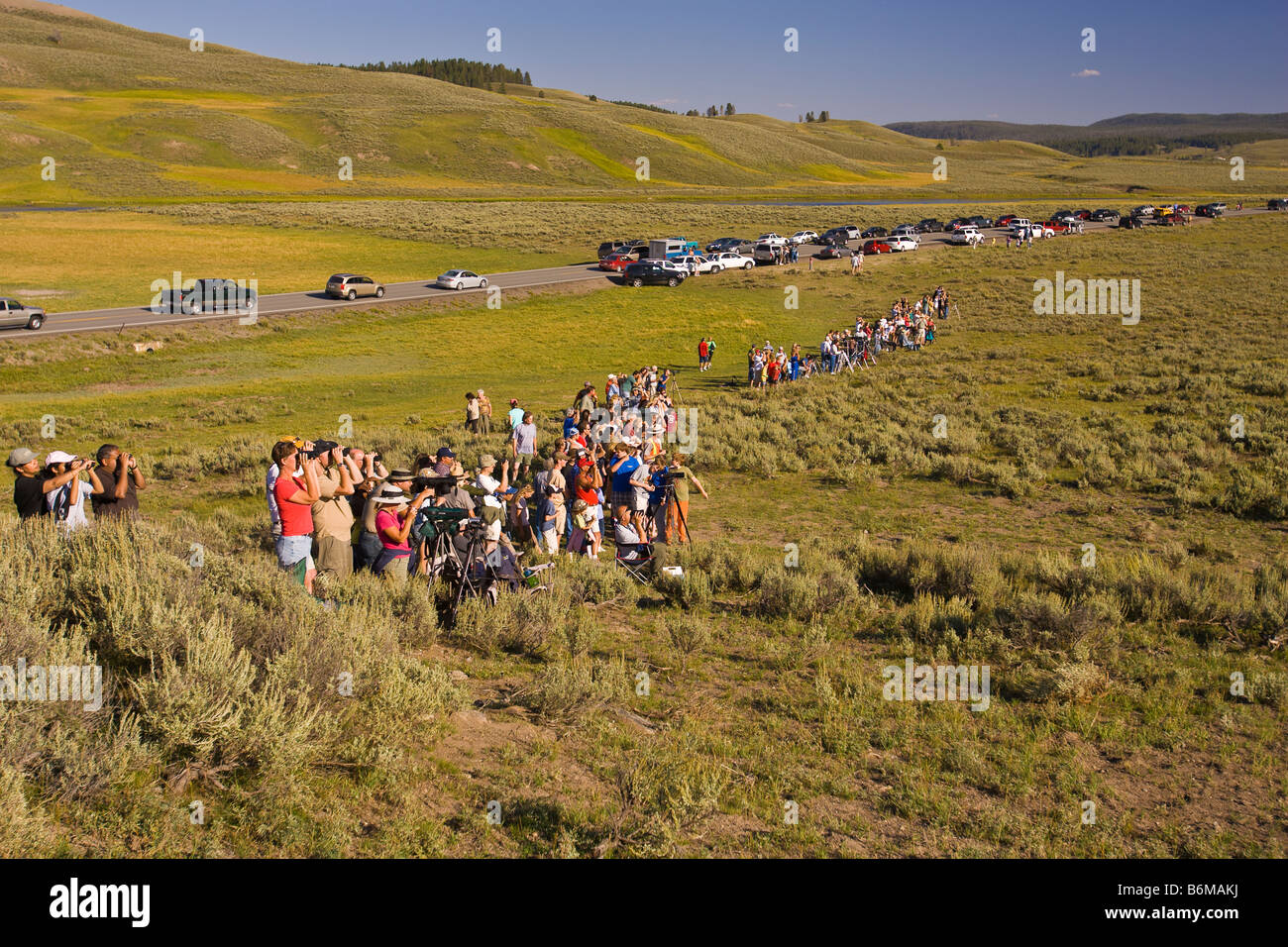 YELLOWSTONE NATIONAL PARK WYOMING USA Crowd of tourists line up to view ...