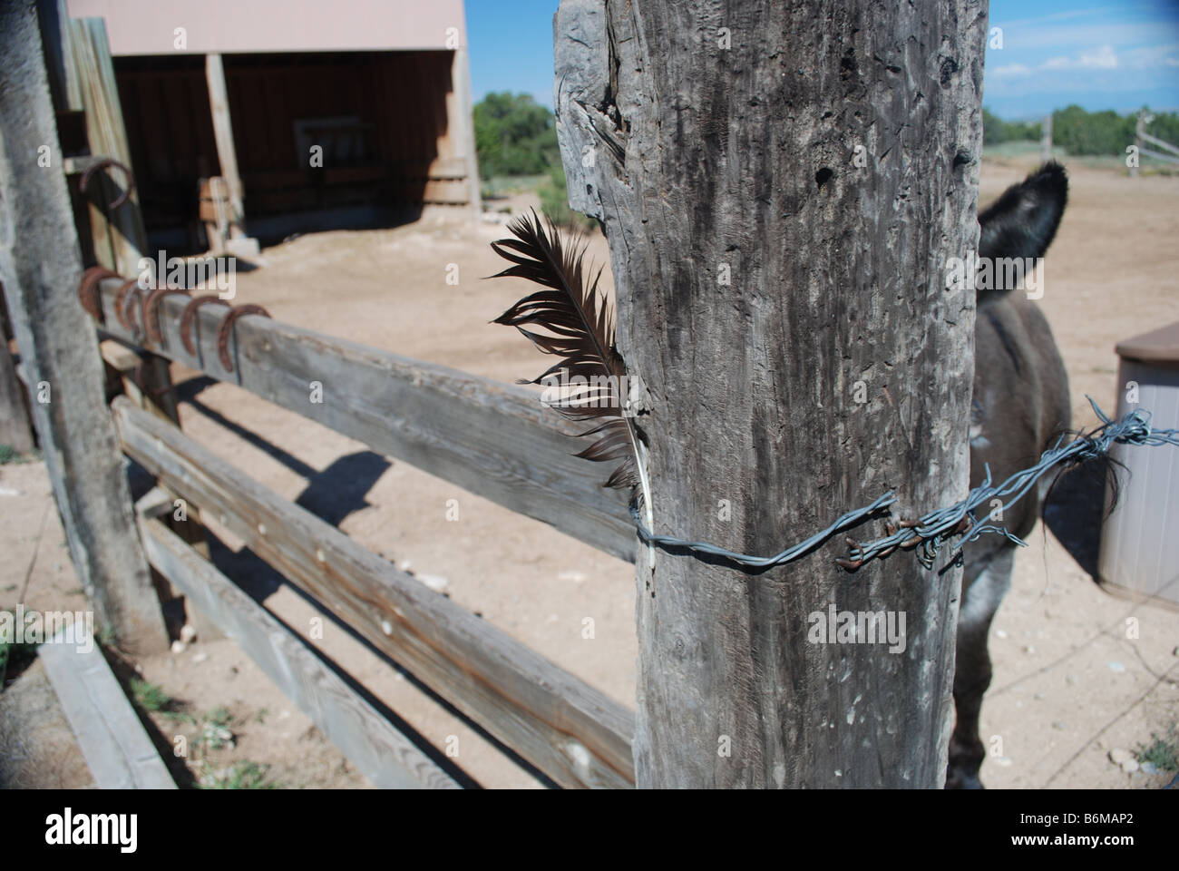 donkey at High Feather Ranch, Cerrillos, New Mexico USA Stock Photo - Alamy
