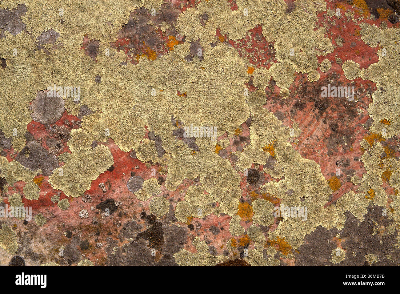 The beautiful figures made by the nature Stock Photo - Alamy