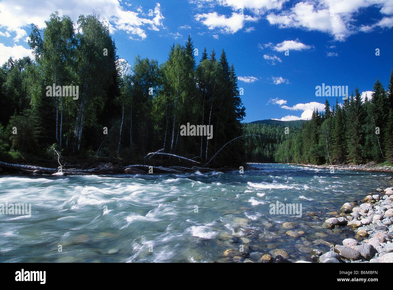 Hemu High Resolution Stock Photography and Images - Alamy
