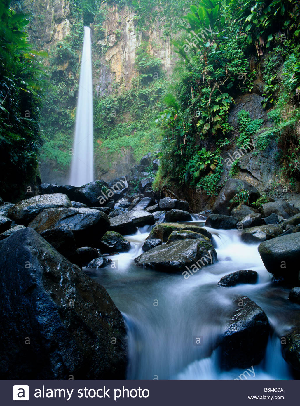 Wet Sari High Resolution Stock Photography and Images - Alamy