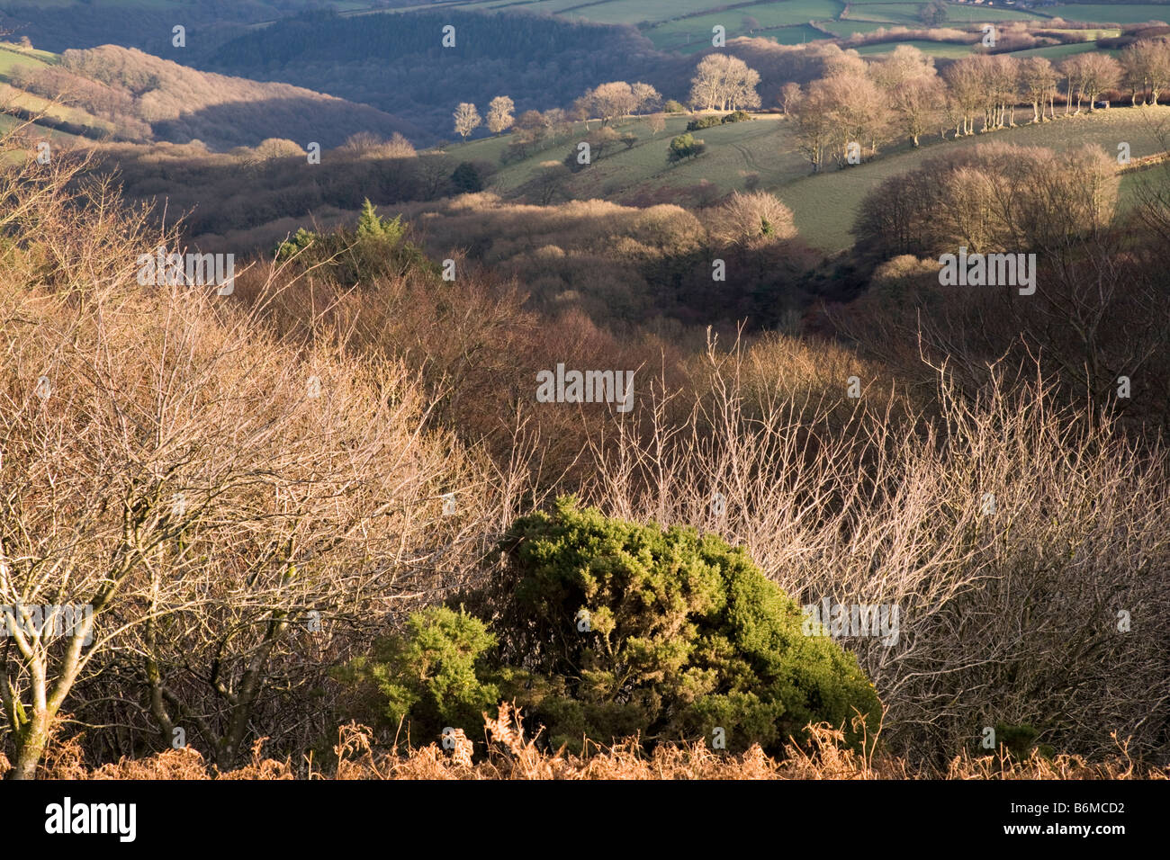 River avill hi-res stock photography and images - Alamy