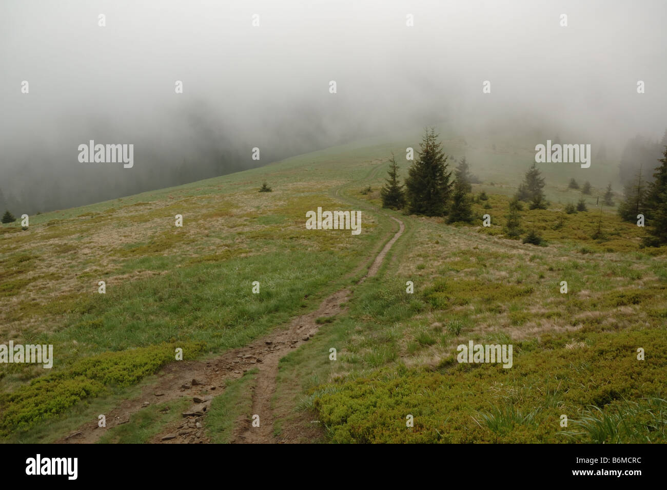 Gorce national park hi-res stock photography and images - Alamy