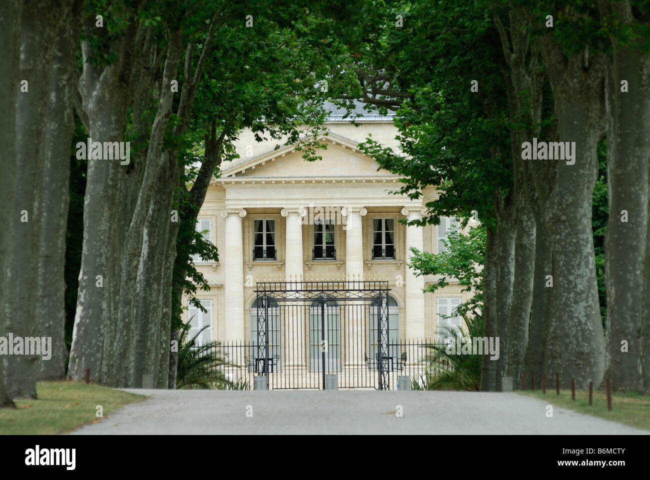 French plane trees hi-res stock photography and images - Alamy