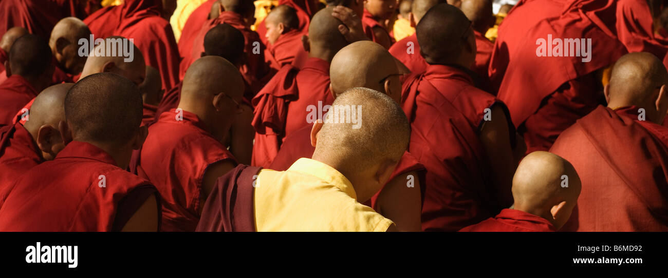 Rear view of monks sitting together, Gaya, Bihar, India Stock Photo - Alamy