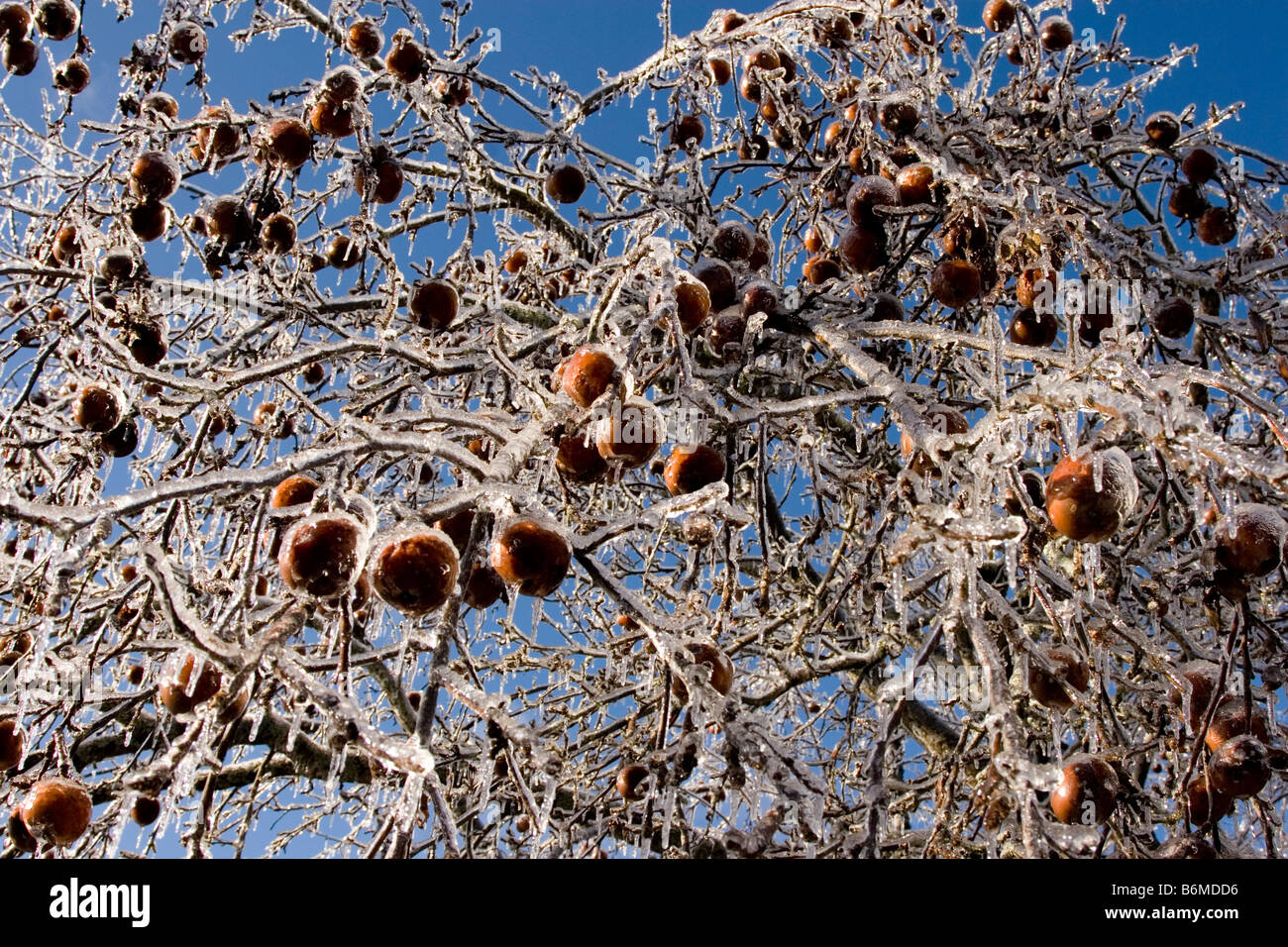 Freezing england hi-res stock photography and images - Alamy